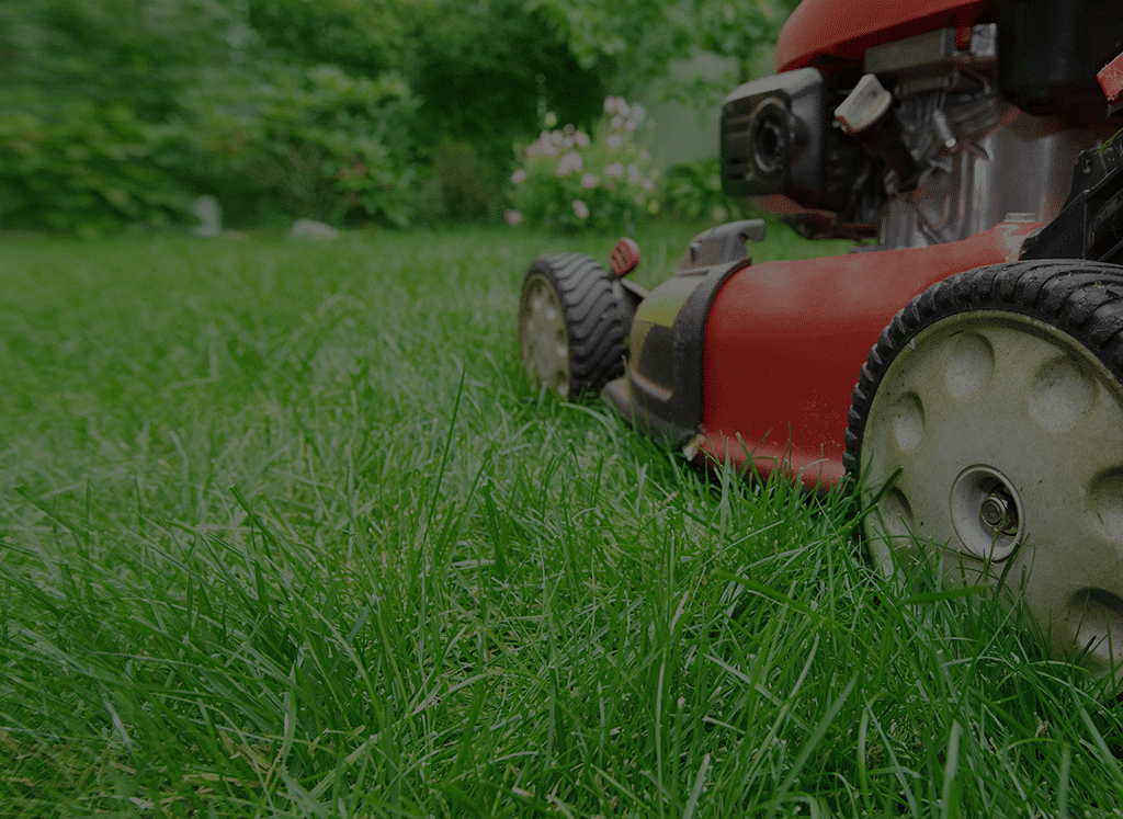 Mowing Top Tips - My Lawn