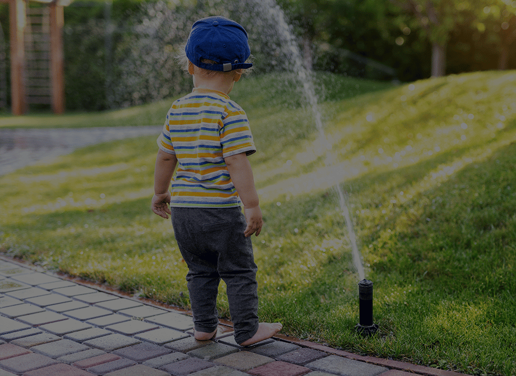 Watering Top Tips - My Lawn