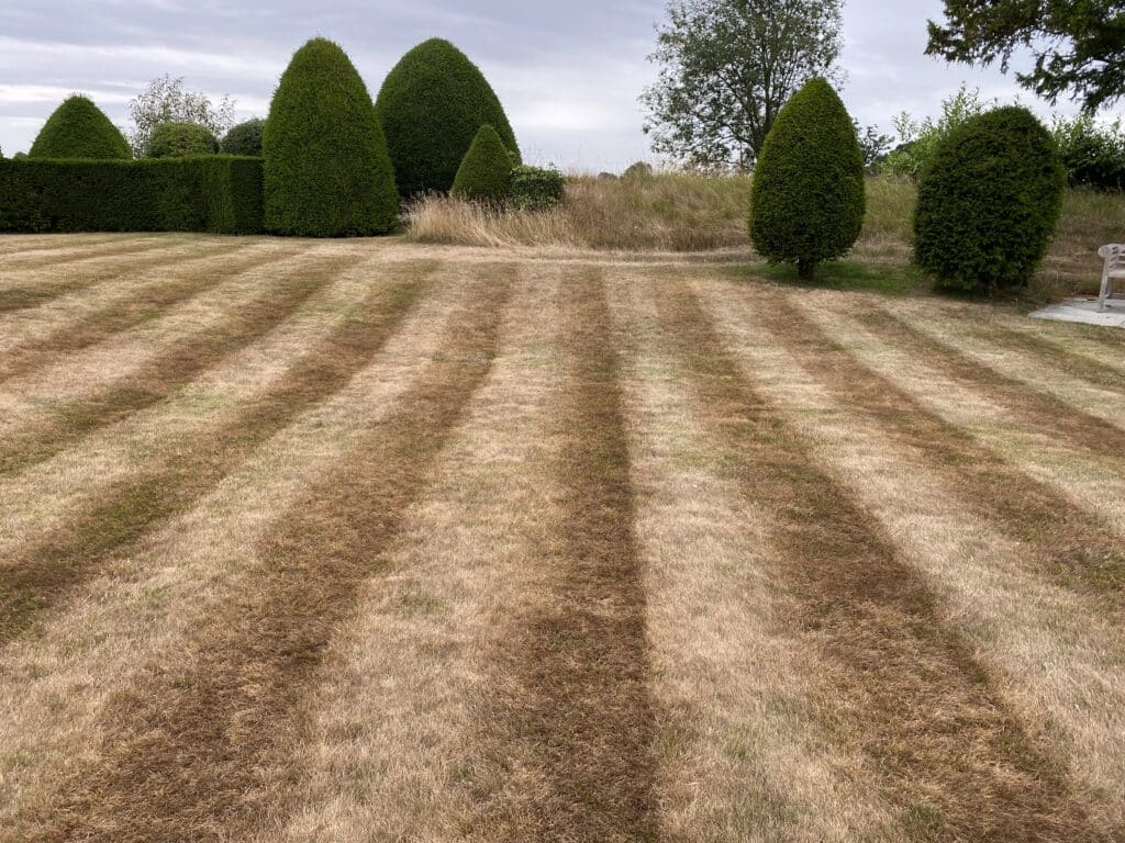 Lawn Dry Weather Treatment - Avoid Dry Patches - My Lawn
