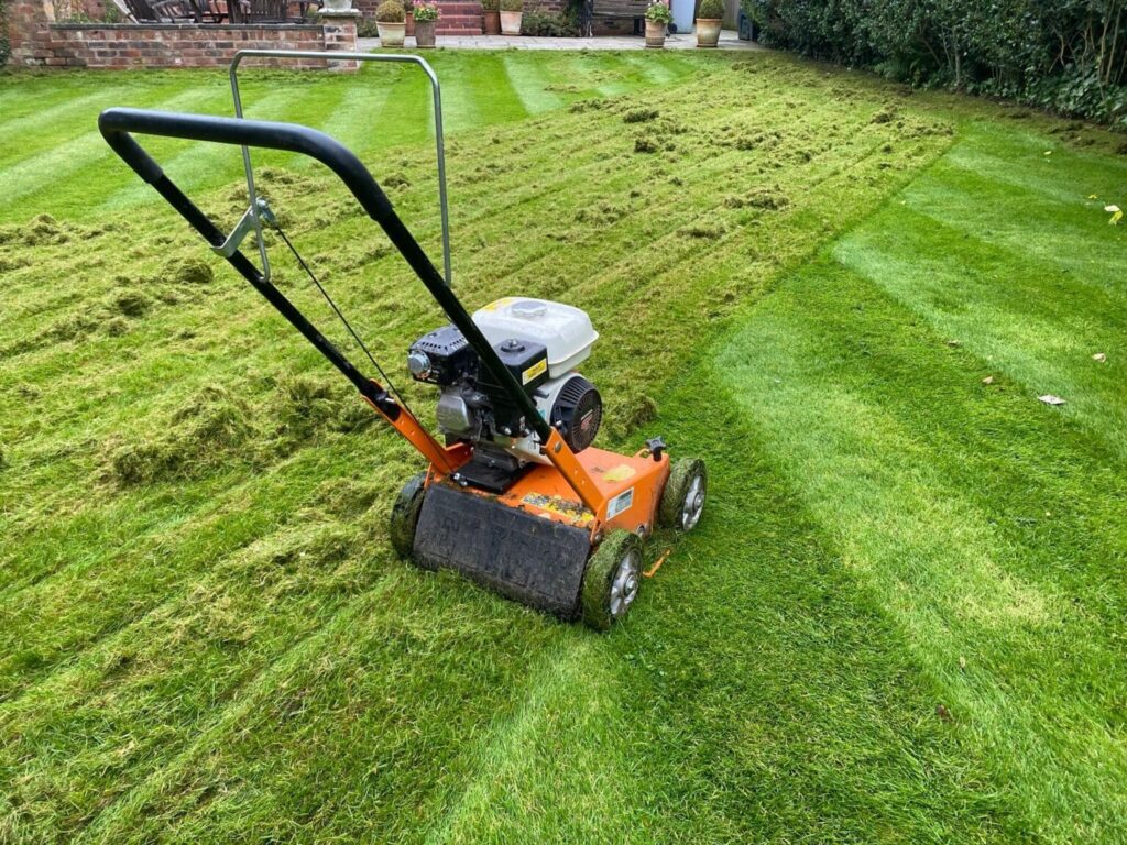 Lawn Scarification Service - Free Analysis Included - My Lawn