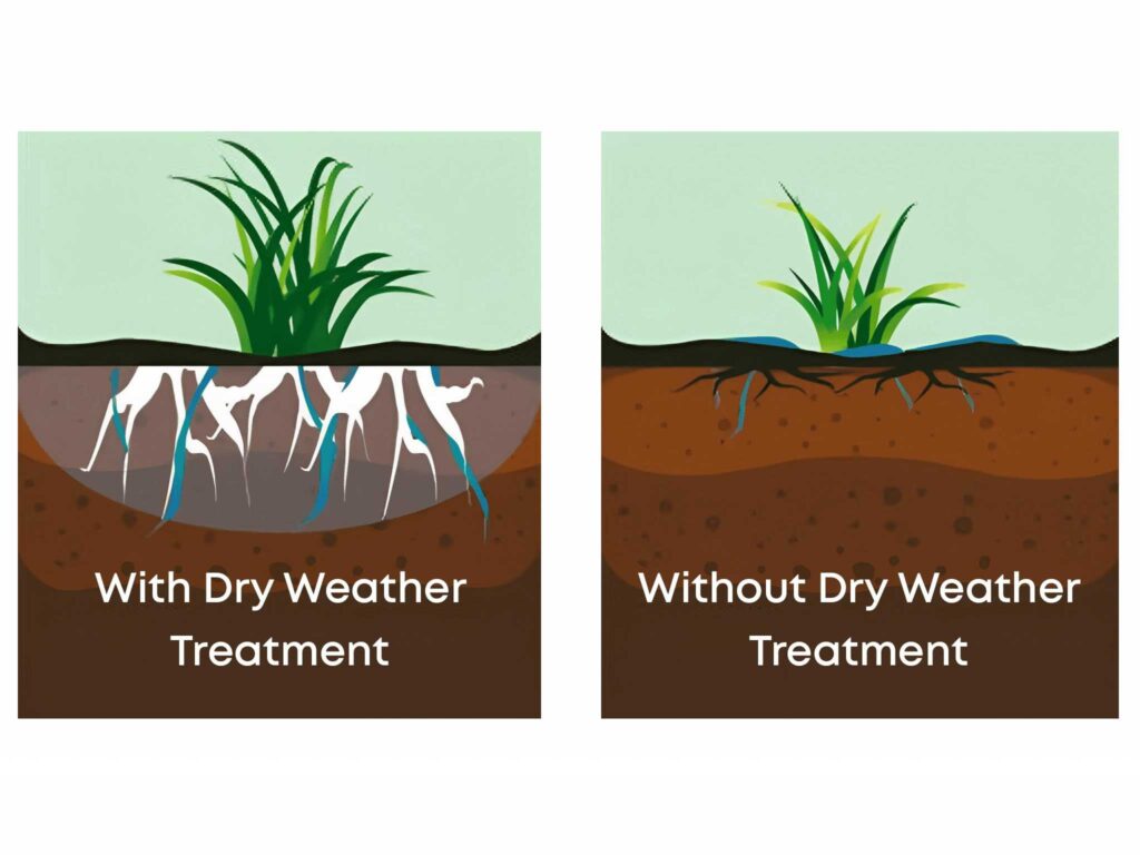 Lawn Dry Weather Treatment - Avoid Dry Patches - My Lawn